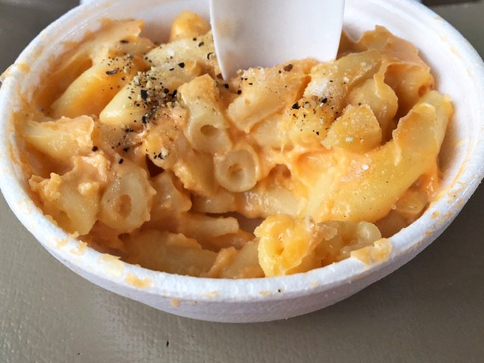 Mac and cheese that doesn't apologize for being exactly what comfort food should be: creamy, cheesy, and utterly necessary.