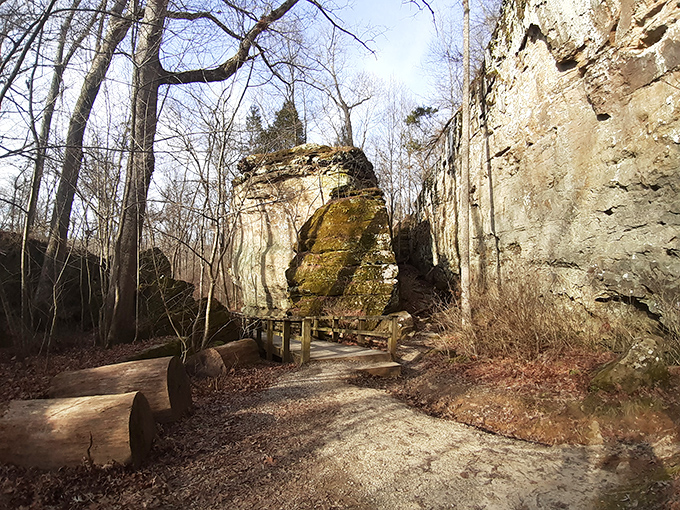Between towering rock formations at Makanda Creekside Park, you'll find trails that whisper stories of geological wonders millions of years in the making.