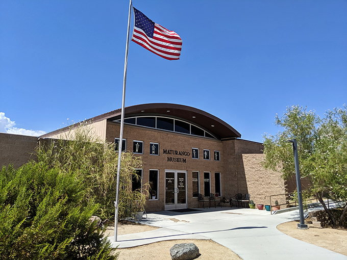 The Maturango Museum stands proudly under that endless blue sky, housing treasures of the desert that Indiana Jones would happily trade his hat for.