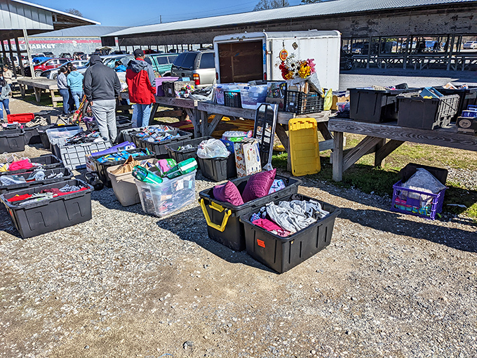 Organized chaos at its finest&mdash;plastic bins overflow with potential finds. One person's random assortment is another's perfect discovery.