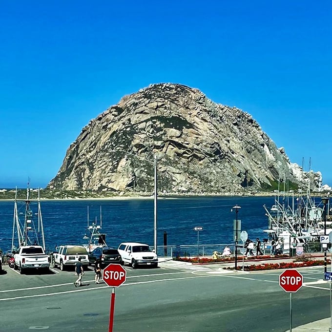 The harbor view frames Morro Rock against a perfect blue sky. Those stop signs seem to say "pause here awhile" rather than "move along"&mdash;solid advice.