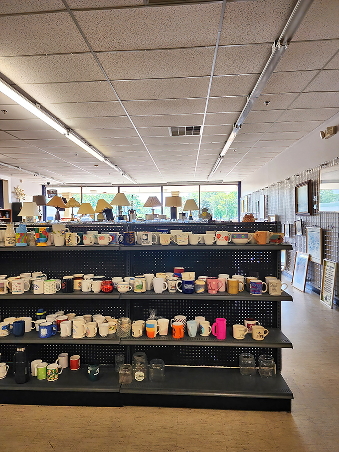 Mug life chose me. Each ceramic vessel tells a story&mdash;from corporate retreats and family vacations to quirky impulse purchases now seeking new homes.