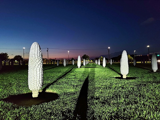 As night falls, lighting transforms the Field of Corn into something otherworldly. Concrete kernels glowing like sentinels guarding suburban Dublin.