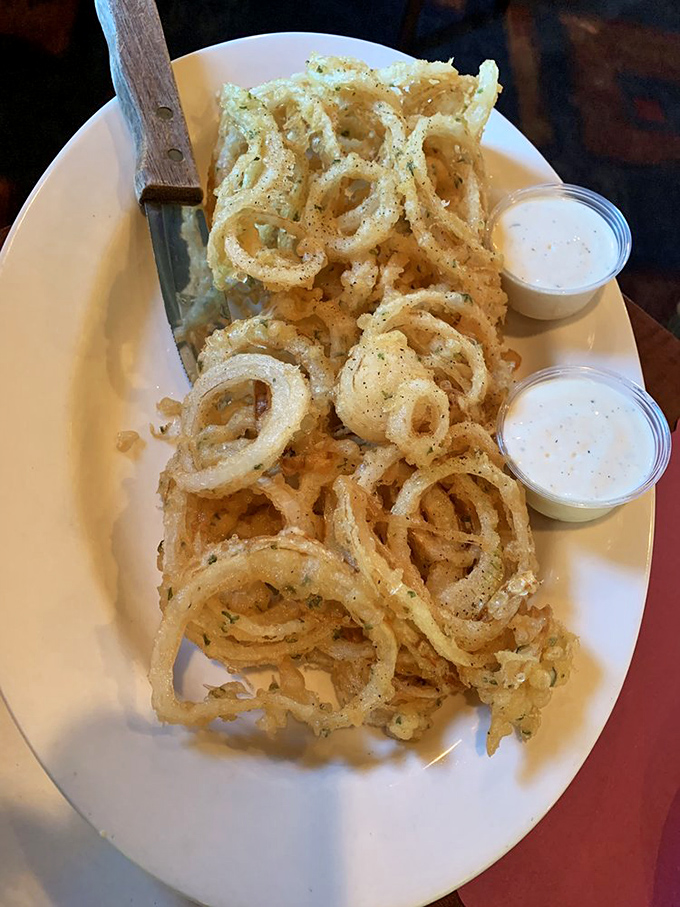 Onion rings stacked higher than my weekend ambitions. Two dipping sauces because life's too short to commit to just one flavor adventure.