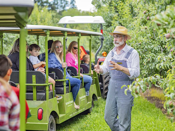 "And here we have Oregon's famous pears..." An orchard tour guide shares agricultural wisdom while passengers get a taste of Hood River Valley's renowned fruit heritage.