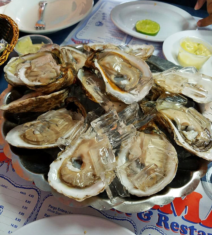 Fresh oysters on the half shell, glistening like the ocean at dawn. Nature's perfect appetizer, requiring nothing more than a squeeze of lime.