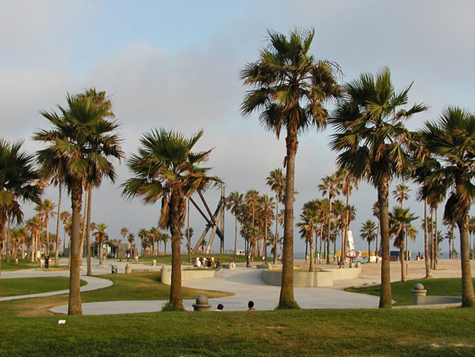 Palm trees standing like exclamation points against the sky, nature's way of saying "You're definitely in Southern California now!"