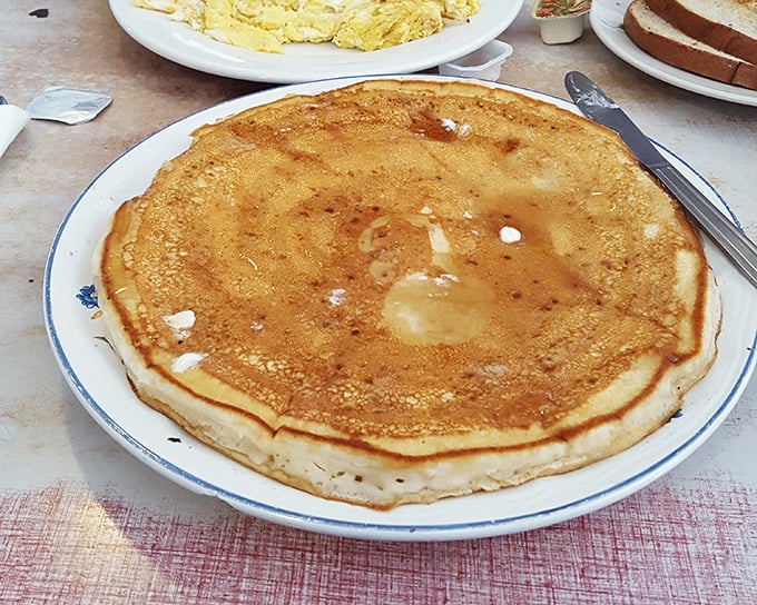 Pancakes so golden and perfectly round they could make the sun jealous. One bite and you'll understand why breakfast deserves to be served all day.