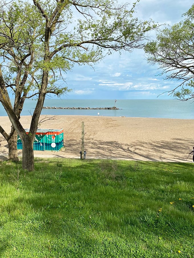 Nature's frame job: Ancient trees create the perfect viewfinder for Lakeview's pristine beach and the stone breakwater beyond.