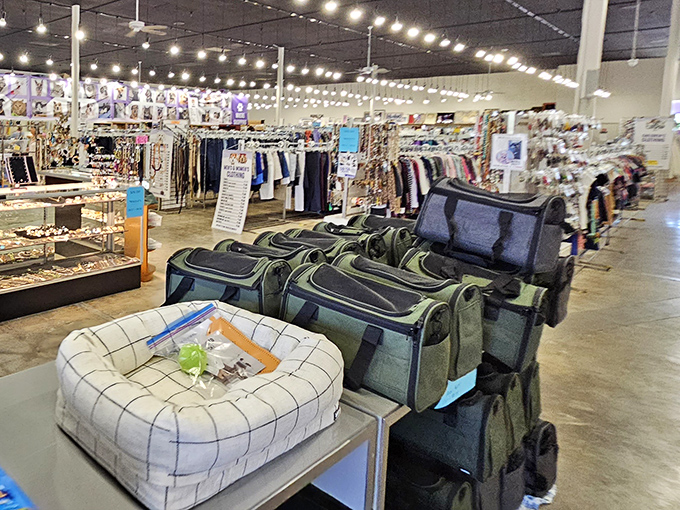 String lights overhead, fashion treasures below. The pet carrier collection rivals airport security for variety, minus the TSA pat-down.