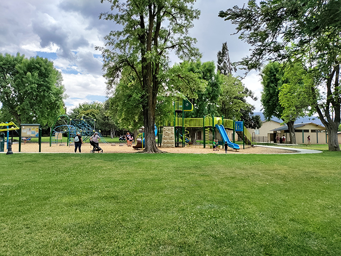 Philip Marx Central Park delivers what big city parks often miss &ndash; actual grass, functioning playground equipment, and space to breathe.