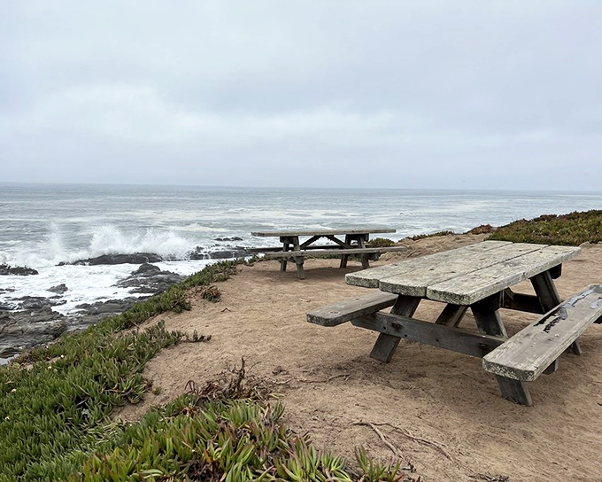 The world's most scenic dining room comes with rustic picnic tables, crashing waves as background music, and a dress code that favors windbreakers over neckties.