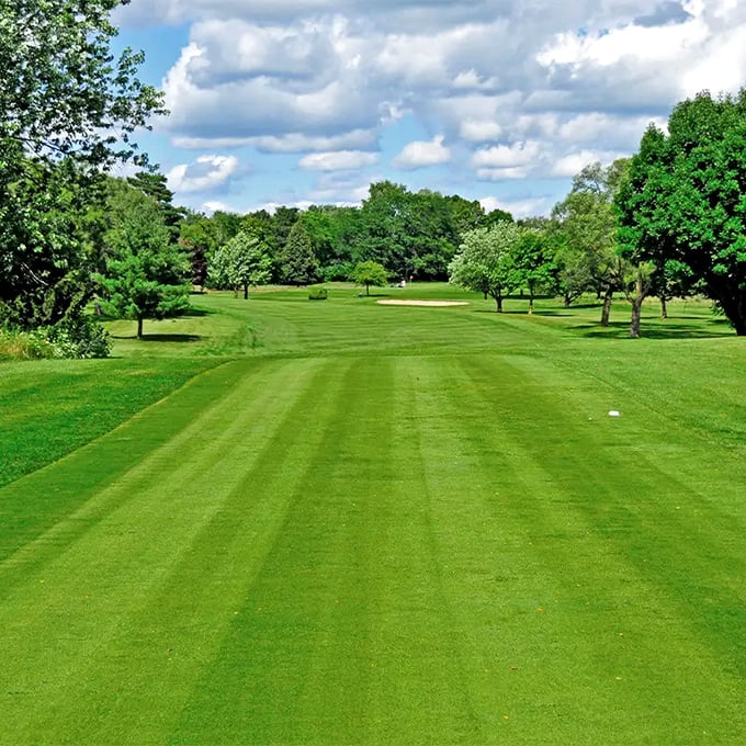 Golf courses: where otherwise reasonable adults voluntarily spend hours chasing a tiny ball while surrounded by scenery this gorgeous. Pine River doesn't disappoint.