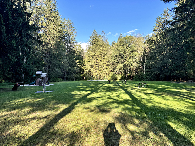 Sunshine filtering through towering pines creates nature's own spotlight on this inviting play and picnic area&mdash;childhood memories waiting to be made.