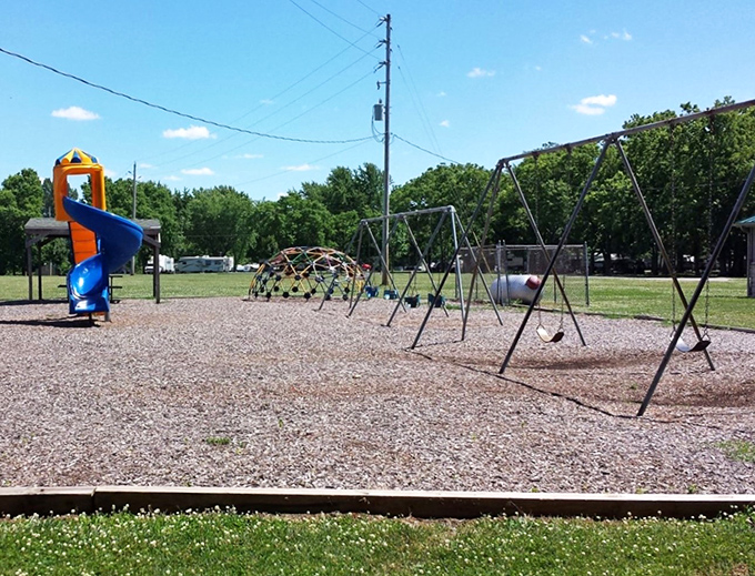 Childhood joy in its simplest form&mdash;swings, slides, and endless energy. The universal playground where kids make friends faster than adults at an open bar.