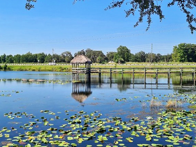Tranquil waters and a thatched gazebo create the perfect Florida postcard moment. This peaceful pond scene is the antithesis of a crowded theme park line.
