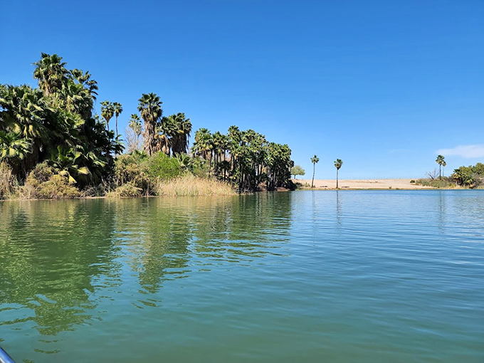 Where desert meets water. The Colorado River creates unexpected pockets of lush greenery, perfect for morning kayak adventures or afternoon contemplation.