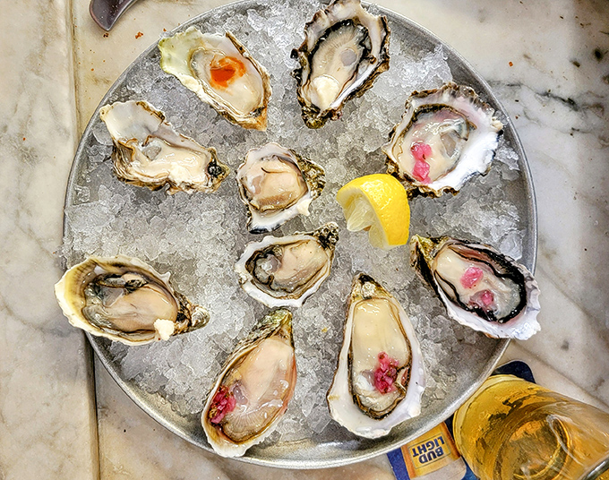 A dozen glistening oysters on ice &ndash; nature's perfect appetizer. Each shell contains a tiny ocean of flavor waiting to be discovered.