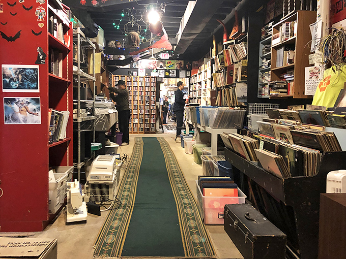 Vinyl heaven where forgotten albums wait to spin their stories once more.