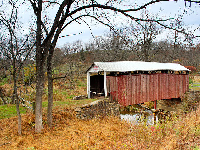 Autumn turns this crimson beauty into nature's own Norman Rockwell painting come alive.