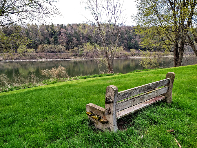 A weathered bench offers the perfect front-row seat to nature's daily performance on the Susquehanna. Some views don't need a ticket or Wi-Fi password.