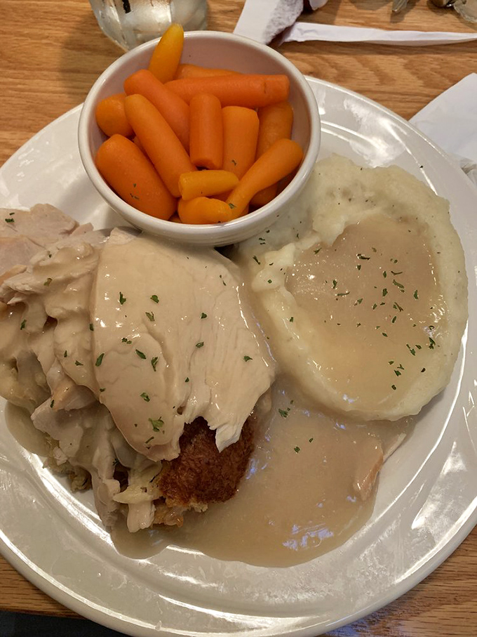 Thanksgiving's greatest hits album: roast turkey, mashed potatoes, and gravy performing together in perfect harmony on this classic dinner plate.