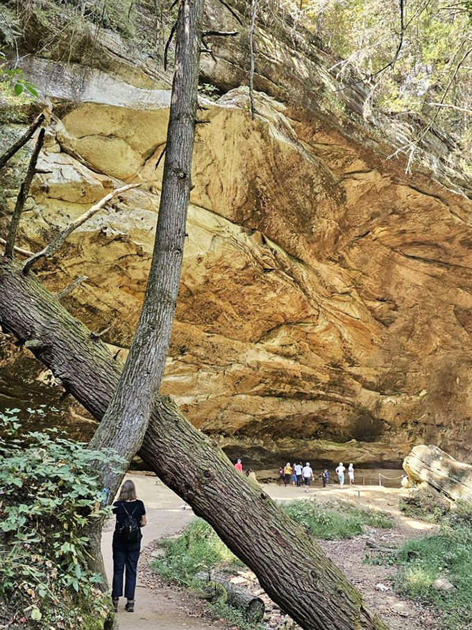 The sandstone cliffs at Hocking Hills tell a 350-million-year-old story. Talk about the ultimate "if these walls could talk" moment.