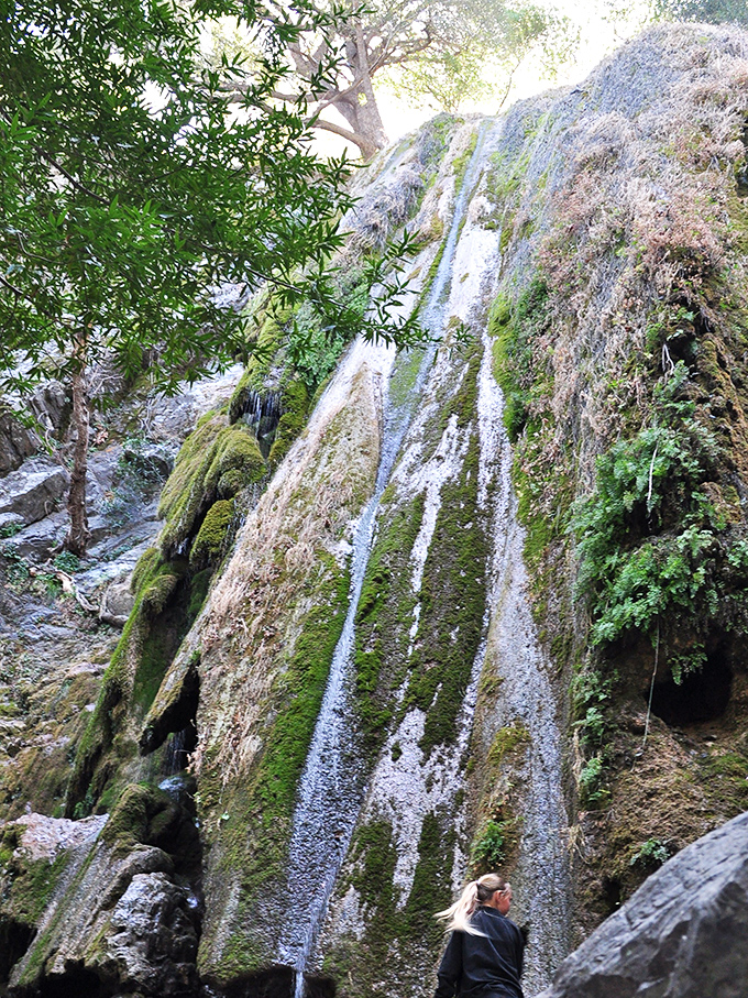 Rose Valley Falls cascades down moss-covered rock like nature's own meditation app&mdash;except this one comes with actual fresh air.