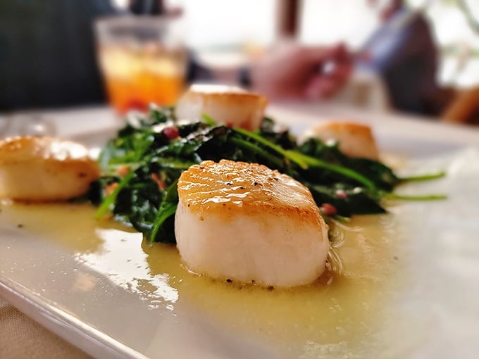 These perfectly seared scallops lounging on a bed of wilted greens aren't just dinner; they're edible proof that Wisconsin knows its seafood.