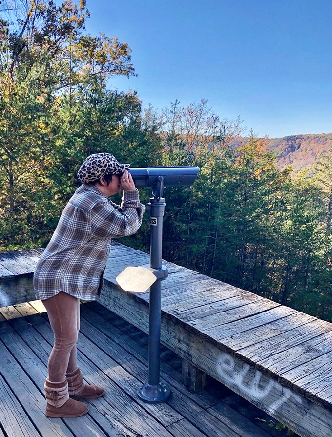 Even the most dedicated smartphone photographer eventually surrenders to these viewfinders, offering close-ups of nature that no Instagram filter could improve.