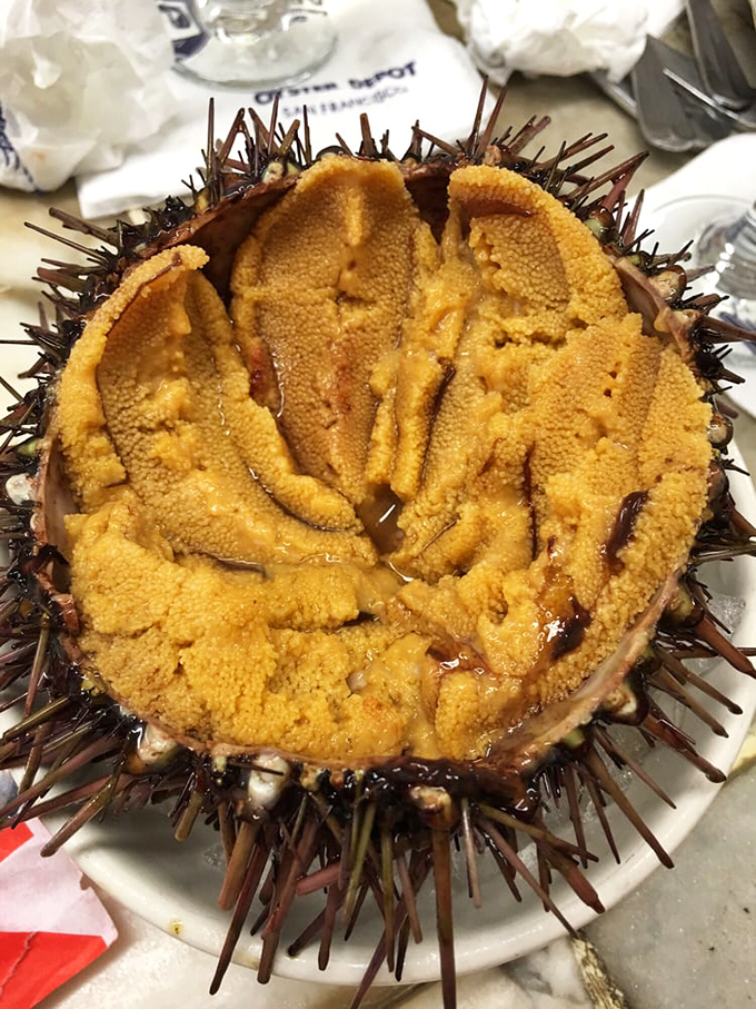 Sea urchin looking like nature's golden treasure chest &ndash; brave souls are rewarded with creamy ocean magic inside.