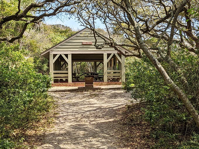Nature's conference room, where the only PowerPoint presentations are sunbeams filtering through live oak branches and rustling palmettos. 