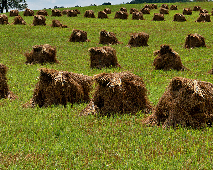 These humble haystacks tell the real farm-to-table story &ndash; before it was a trendy restaurant concept, it was simply how everyone in Berlin lived.