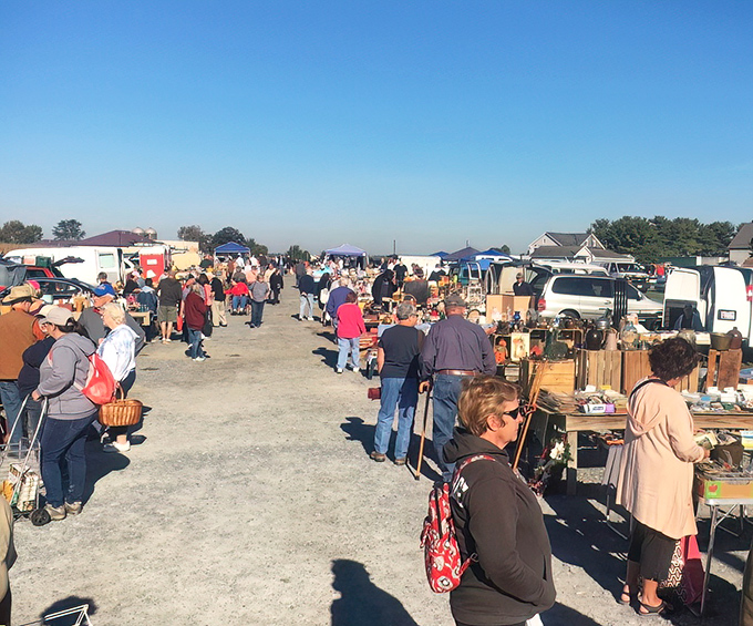 Early birds catch the bargains! Market veterans know to arrive with comfortable shoes and a keen eye for hidden gems.