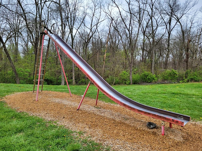 Childhood joy in its simplest form &ndash; this classic metal slide promises the same thrill that delighted kids decades before smartphones existed.