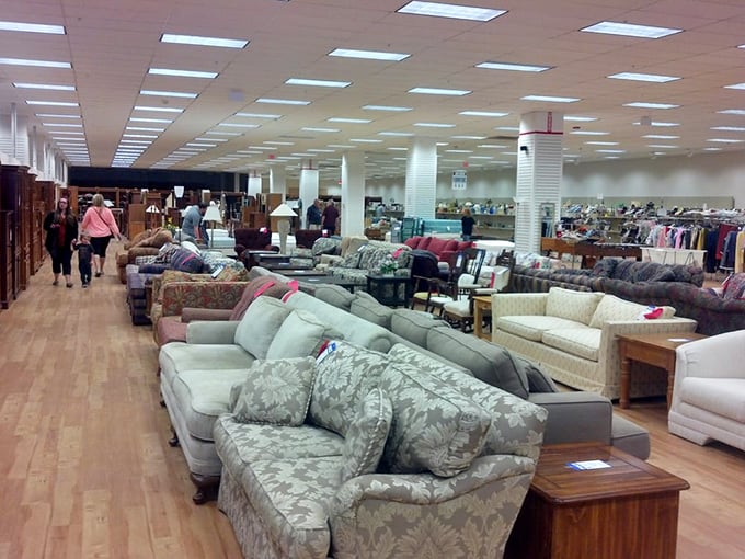 Sofa safari at its finest – spot the floral print in its natural habitat, lounging between leather and tweed varieties.