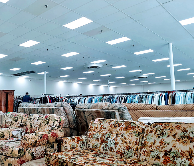 Floral patterns meet stripes in the sofa section—a textile United Nations where comfort and affordability sign a lasting peace treaty.