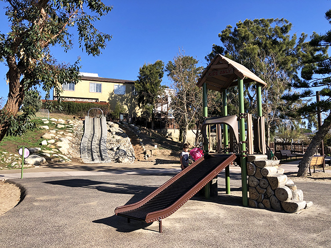 At South Park's playground, future Olympic volleyball champions practice their dismounts while parents secretly envy their energy levels.