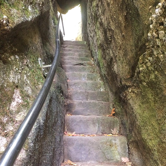 These wooden steps climb toward views that social media influencers would trade their ring lights to capture.