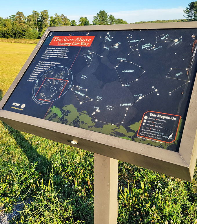 "The Stars Above: Guiding Our Way" &ndash; not just a sign, but a portal to understanding our place in the vast cosmic neighborhood.