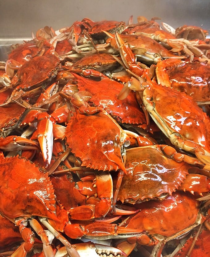 Crab heaven exists, and it looks exactly like this. A mountain of steamed blue crabs that makes your crab mallet hand start twitching with anticipation.