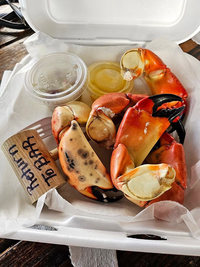 Stone crabs served with zero pretension&mdash;just sweet meat, melted butter, and the satisfaction of working for your food.