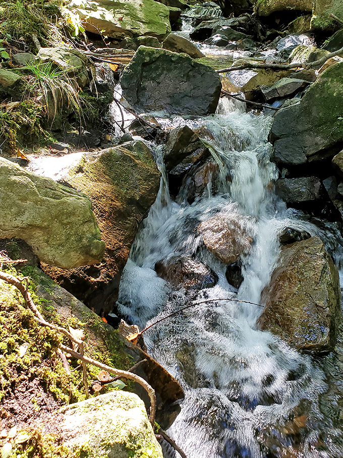 Mountain streams provide nature's own soundtrack - no Spotify subscription required for this peaceful playlist.