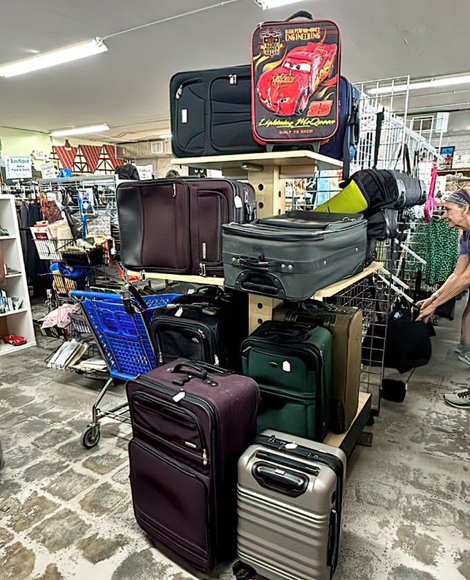 Travel the world without leaving Georgia&mdash;or at least look the part. This luggage collection stands ready for your next adventure, from weekend getaways to grand expeditions.