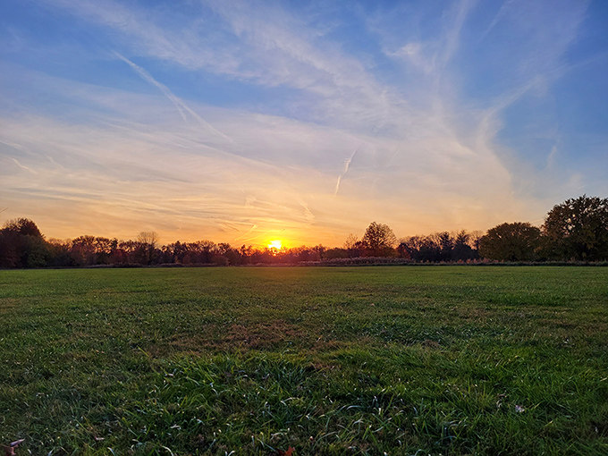 Nature's farewell performance of the day never disappoints. Bellevue's open fields offer front-row seats to sunsets that outshine any streaming service special.