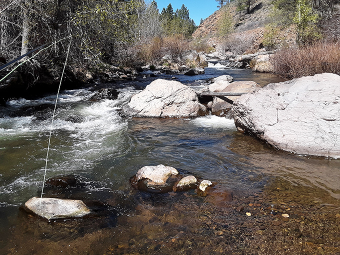 The Susan River offers pristine fishing spots where the only thing more abundant than trout is the soul-cleansing quiet that surrounds you.