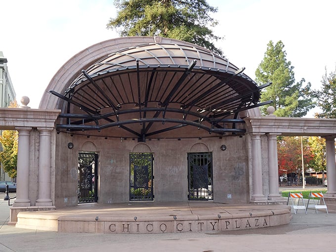 The City Plaza's elegant bandstand has hosted everything from summer concerts to impromptu proposals, its curved roof collecting and amplifying both music and memories.