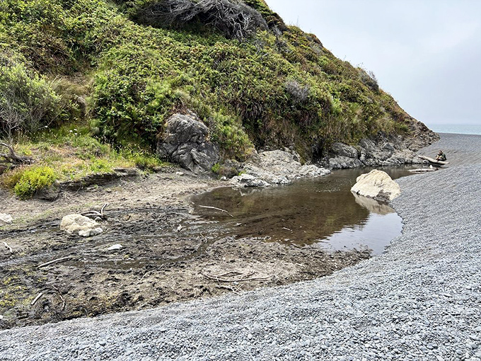 Where freshwater meets saltwater in a delicate dance, creating miniature ecosystems along the ebony shoreline.