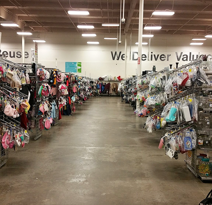A rainbow of tiny garments awaits parents who've learned the futility of spending top dollar on clothes that will be outgrown by Tuesday.