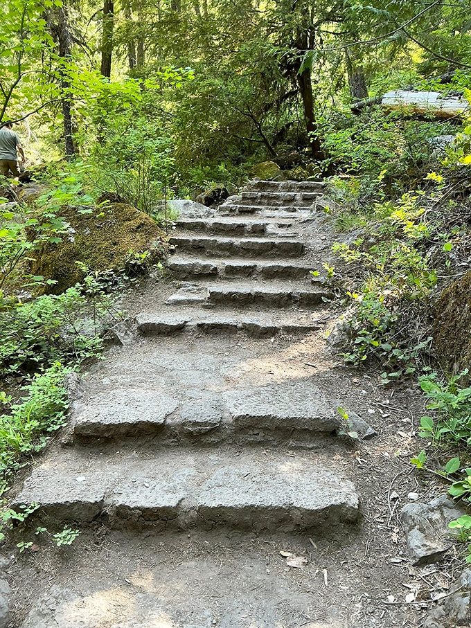 These forest steps aren't just a path&mdash;they're a drumroll building anticipation with every footfall toward the main attraction.